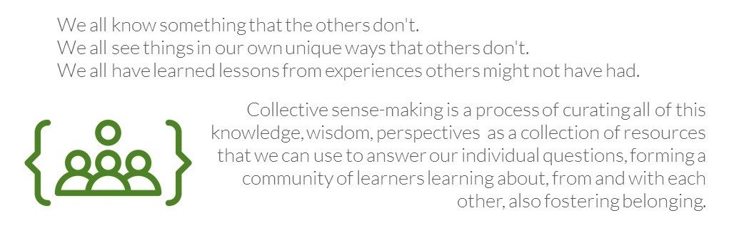 collective sensemaking – JAYATI DOSHI